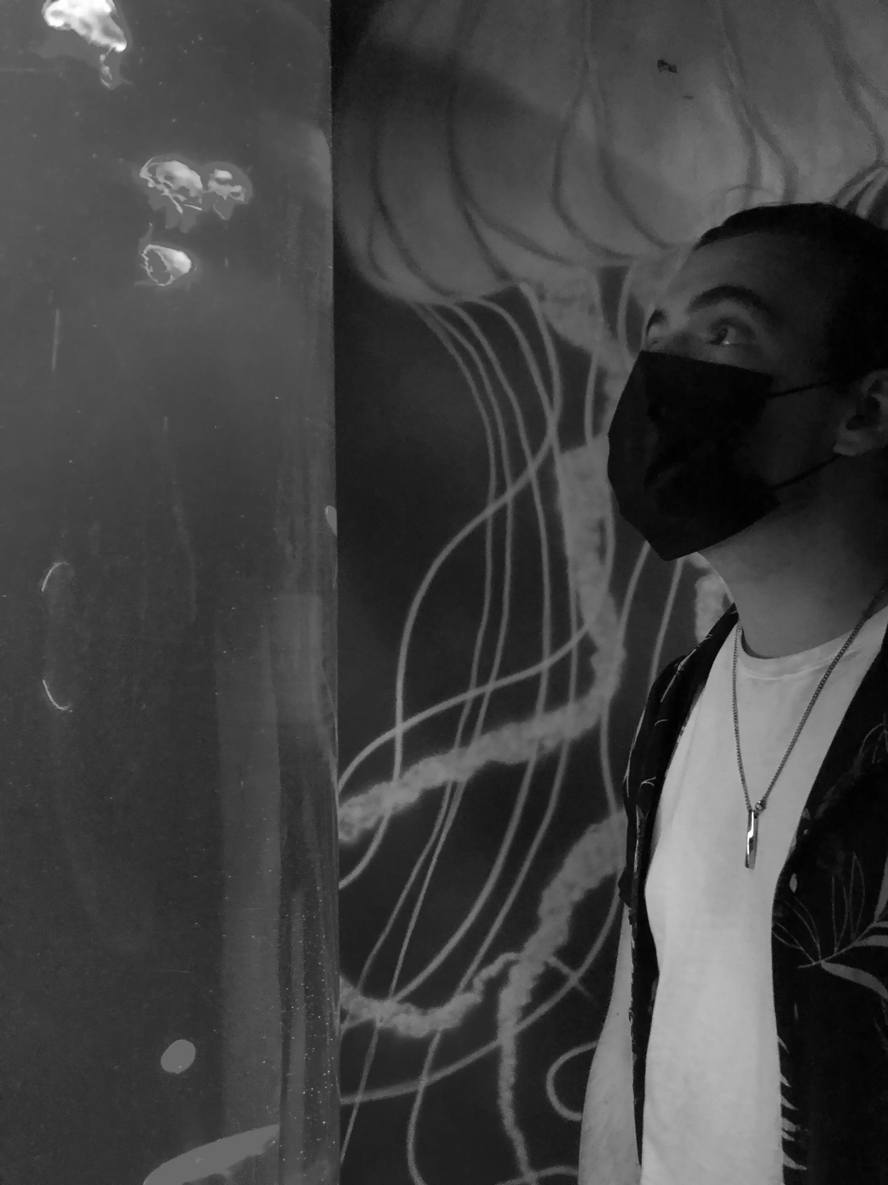 Designs Decoded - Web Design Made Simple for Local Businesses